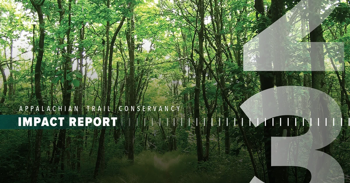 2023 Impact Report
